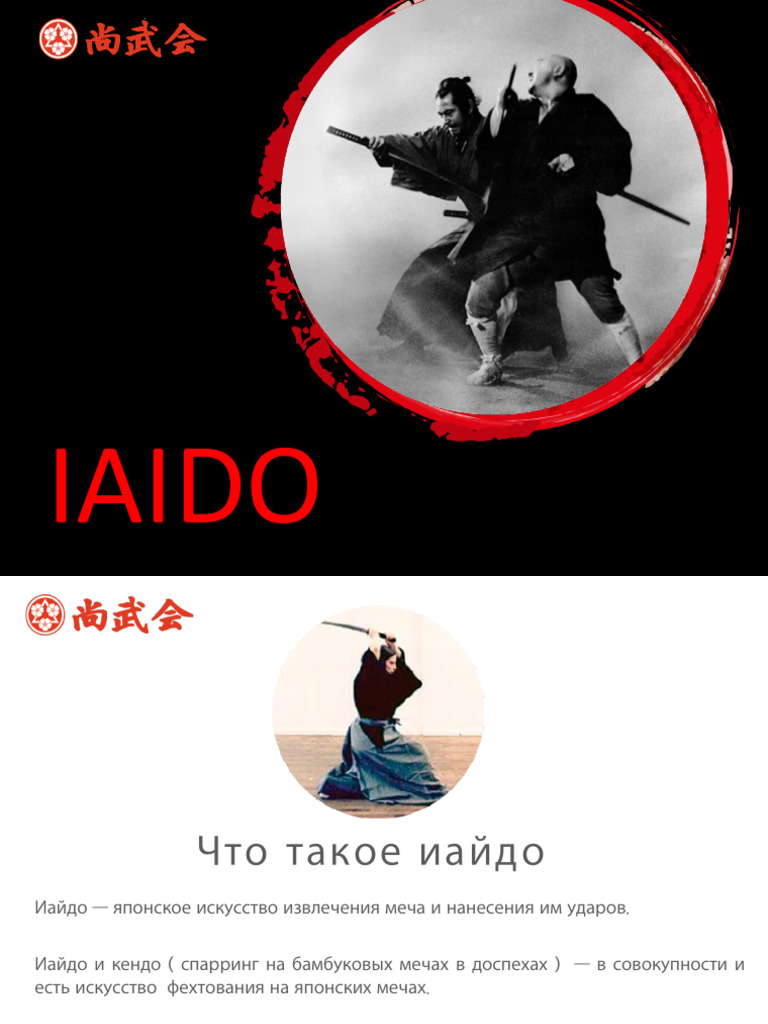 IAIDO Presentation | PDF
