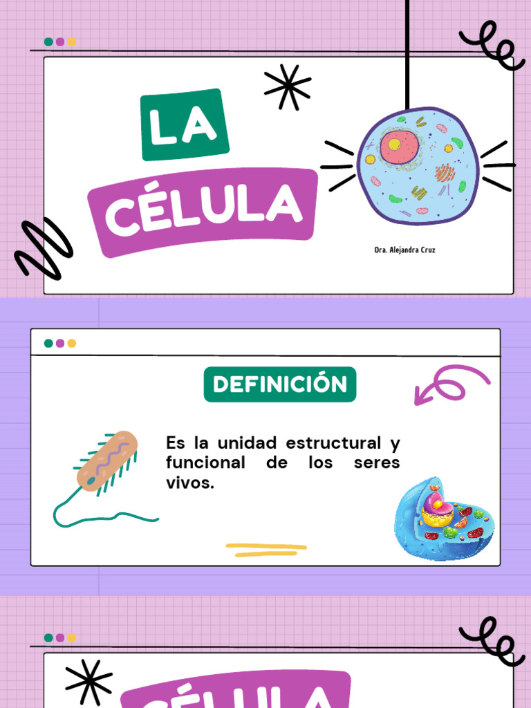 La Célula Conceptos Básicos | PDF