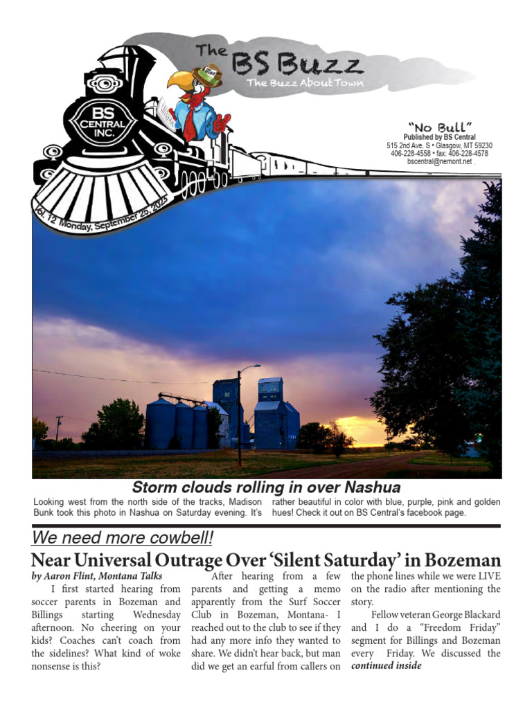 BS Buzz | PDF | Steak | Employment