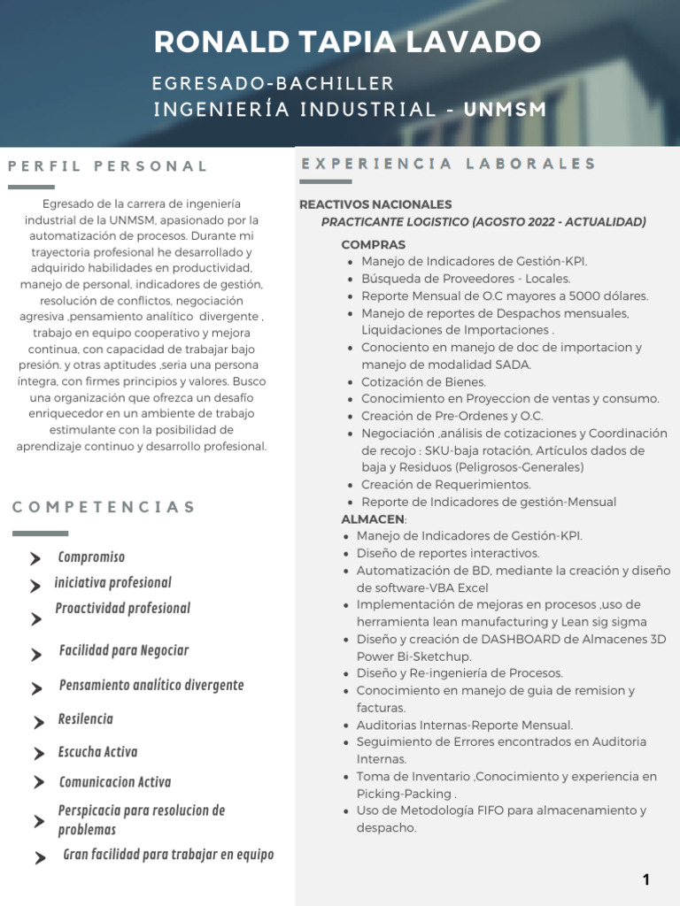 Cv-Ronald Tapia | PDF | Negocios | Finanzas y dinero