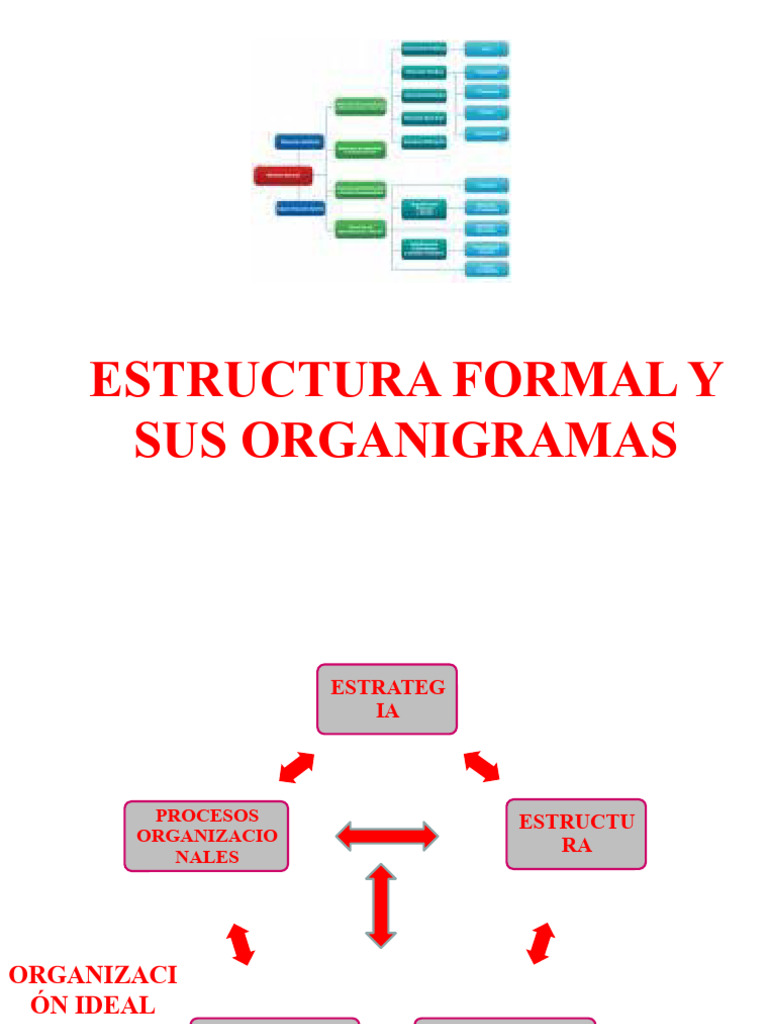 04+Estructuras+Organizacionales 1 | PDF | Business