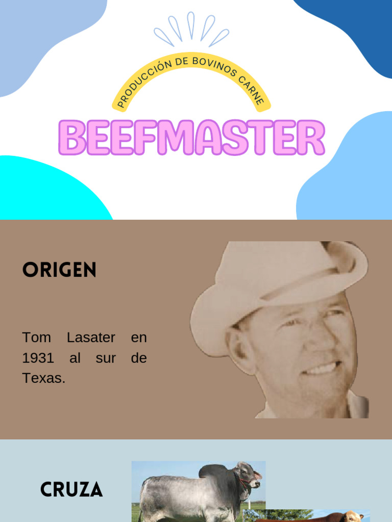 Características del Beefmaster Color | PDF