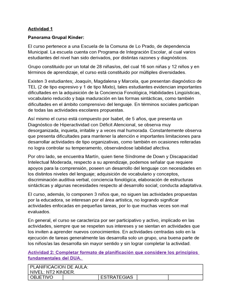 Soraya Inclusión Final | PDF