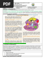 Actividades de Entrevista para Primaria | PDF