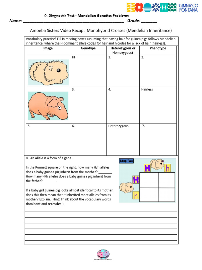 Mendelian Genetics Diagnostic Test | PDF