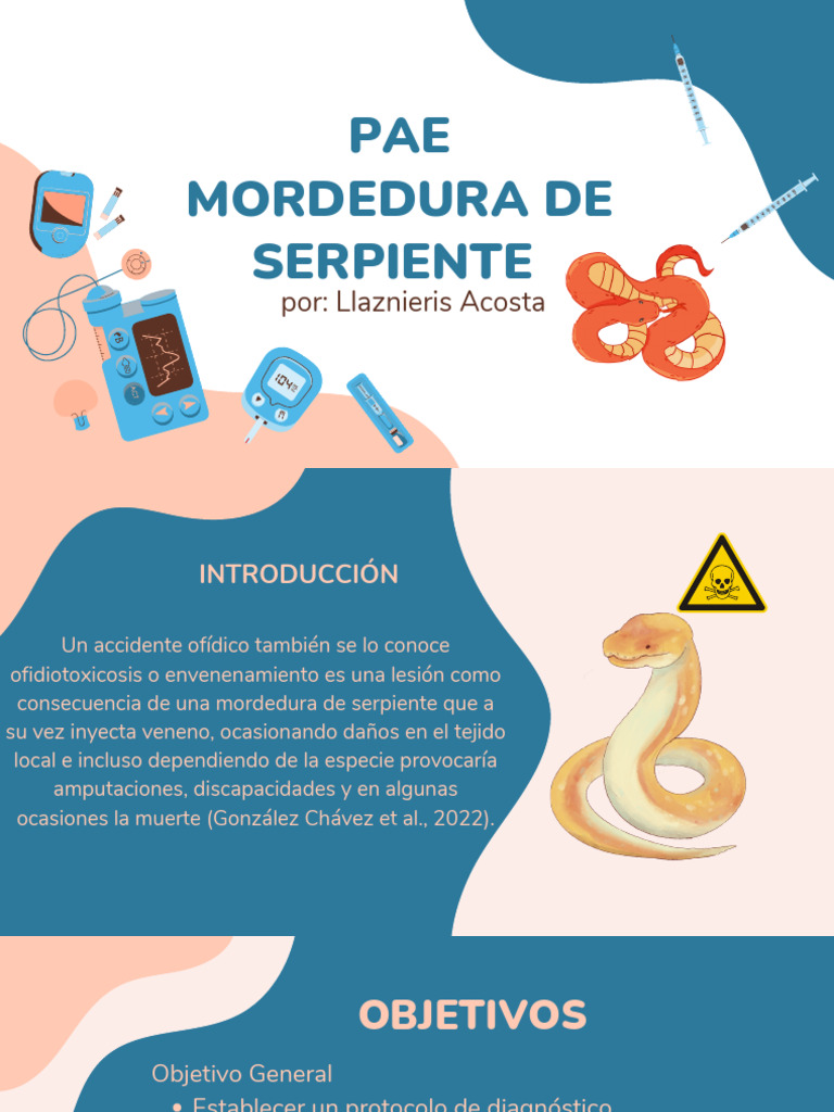 Mordedura de Serpiente | PDF