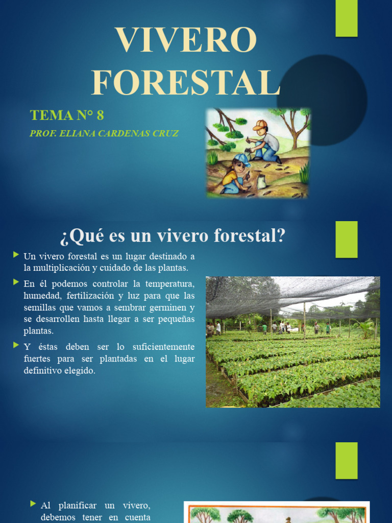Tema 8 - Vivero Forestal | PDF