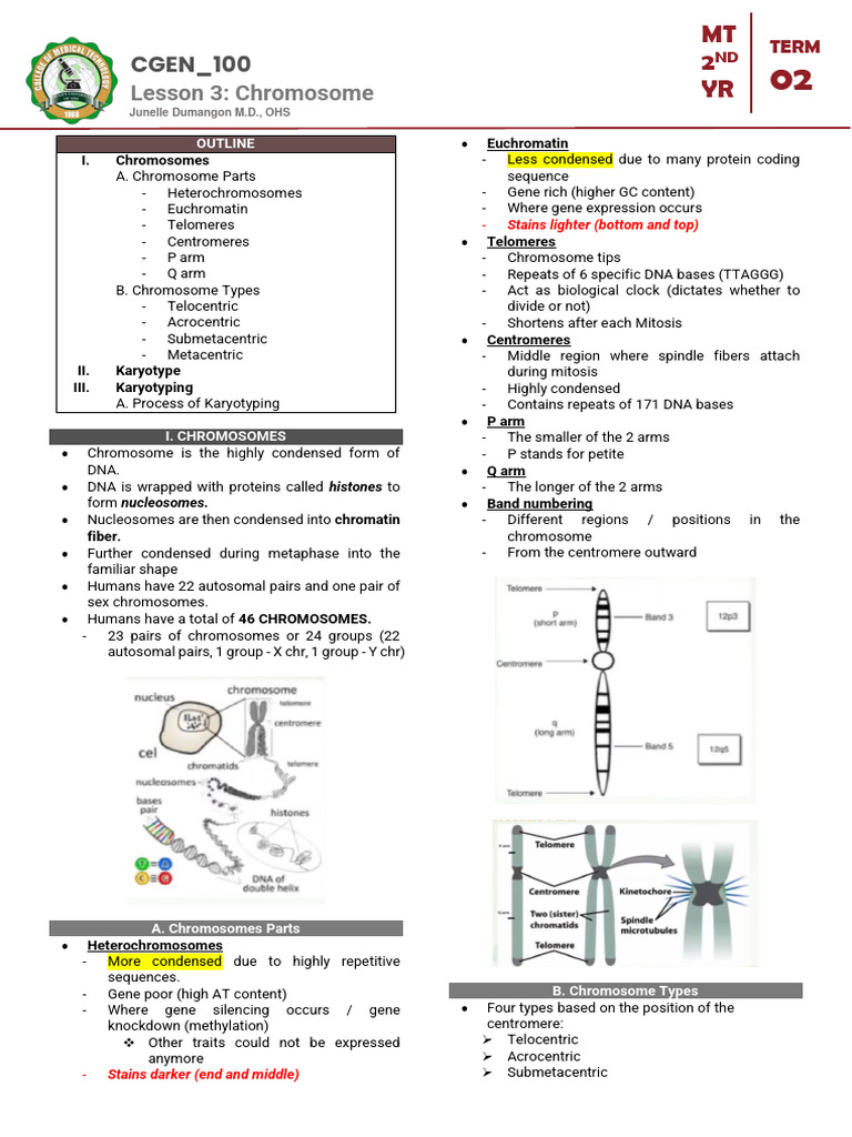 CGEN 100 #3-Chromosomes | PDF