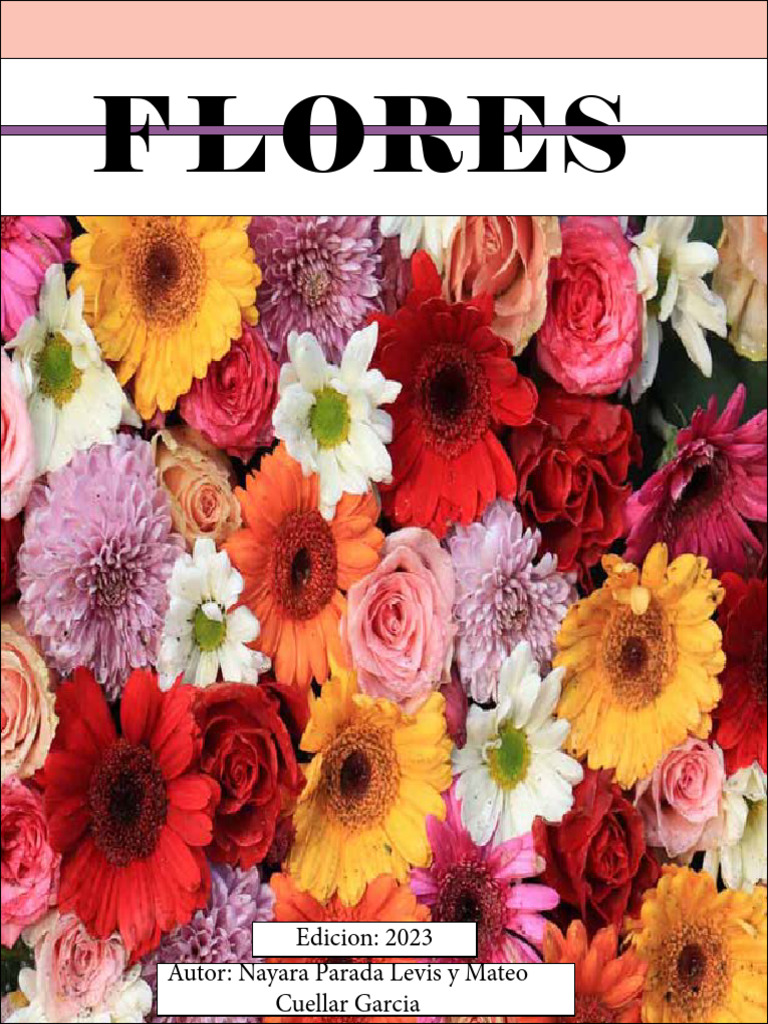 Revista de Flores Nayara y Mateo | PDF | Flores | Morfología Vegetal