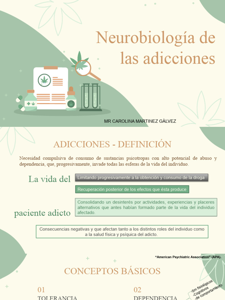 Neurobiologia de Las Adicciones | PDF | Dopamina | Despachador de drogas