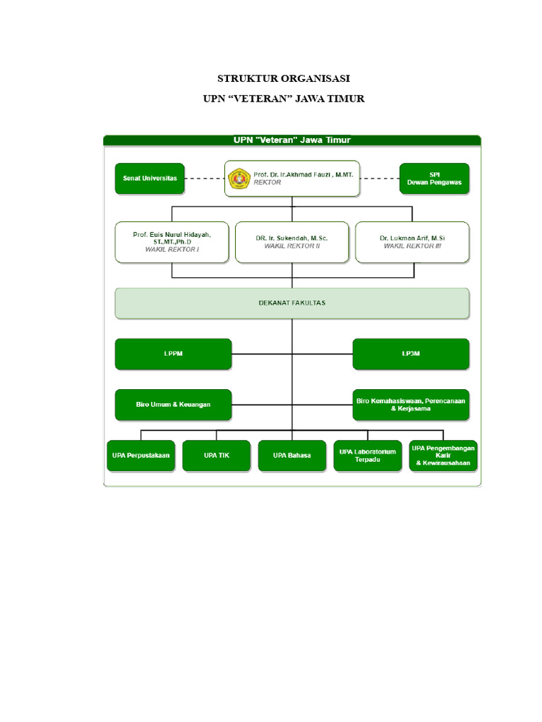 Struktur Organisasi Kampus Pdf 