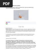Onicectomía: Procedimiento y Cuidados | PDF | Clavo (anatomía) | Dedo ...