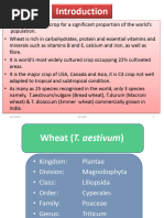 Flower Biology of Wheat 1 | PDF