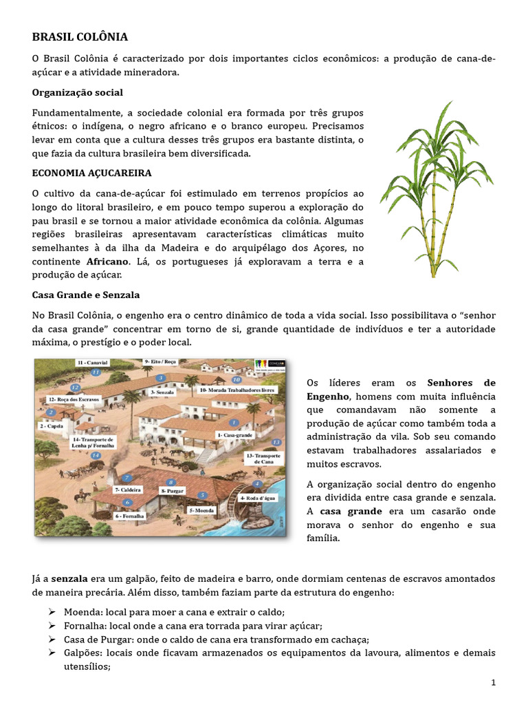 09 Brasil Colonia | PDF