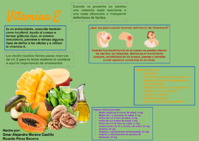 Cartel Vitamina E | PDF