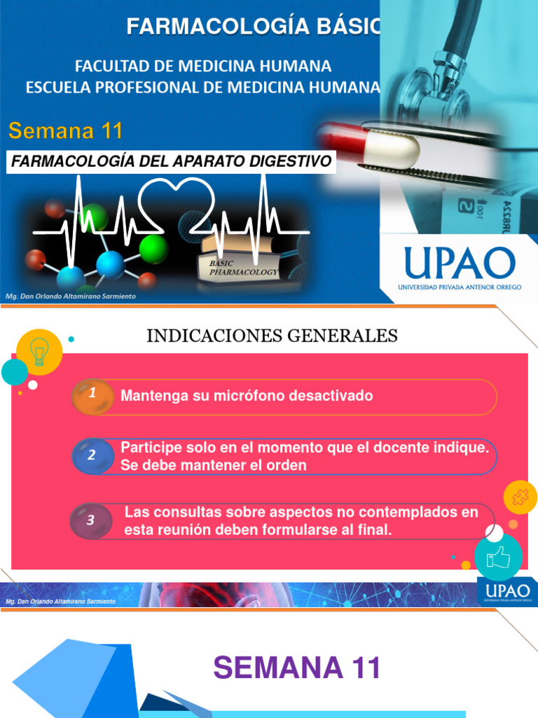 Sesión Teorica FB - S11 | PDF