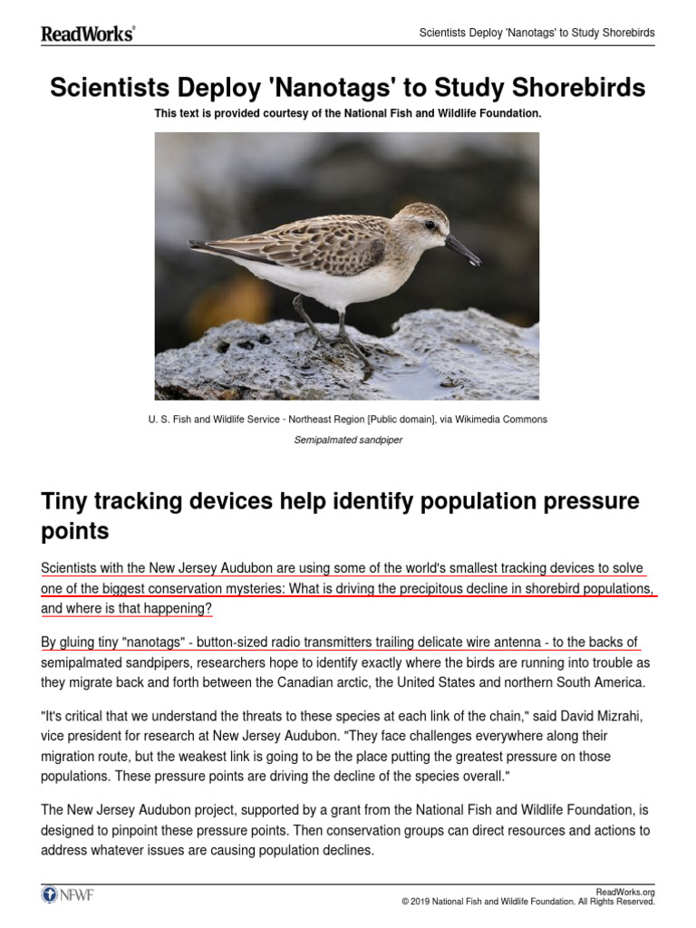 Shorebird Tracking with Nanotags | PDF | Natural Environment