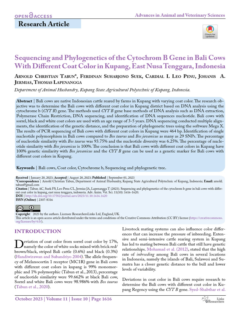 Sequencing and Phylogenetics of The Cytochrom B Gene in Bali Cows With ...