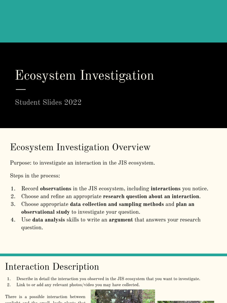 Ecosystem Investigation | PDF | Leaf | Ecosystem