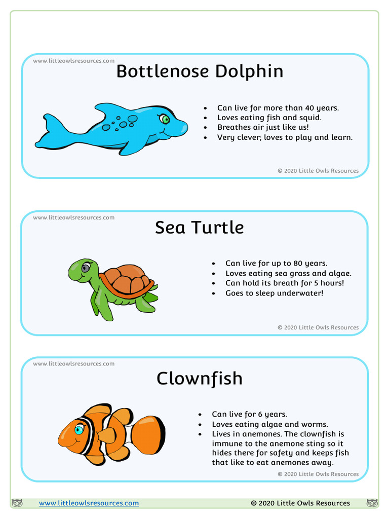 Fun Facts About Sea Animals for Kids | PDF
