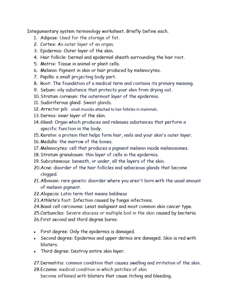 Integumentary System Terminology Worksheet | PDF | Skin | Integumentary ...