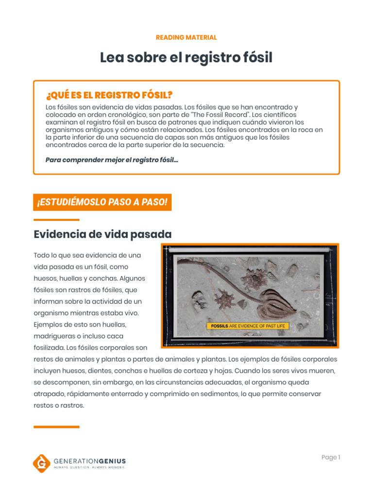 El Registro Fosil Material de Lectura 6 a 8 Grado | PDF | Fósil | Roca ...