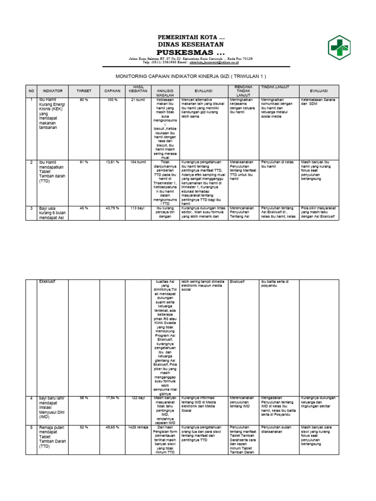 2.6.4.3 Contoh Monev Gizi | PDF