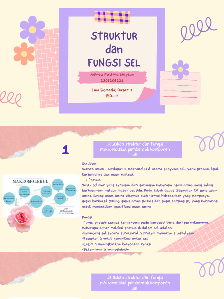 LTM DK1 Biologi Sel IBD 49 Adinda Fathina Maysun | PDF