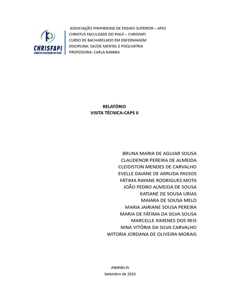 Relatório Caps II | PDF