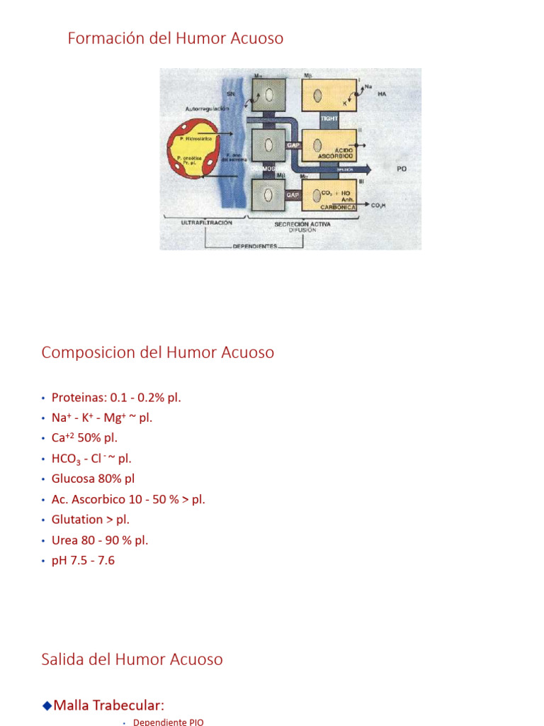Oftalmo 3 - 2023 | PDF | Ciencia y matemáticas