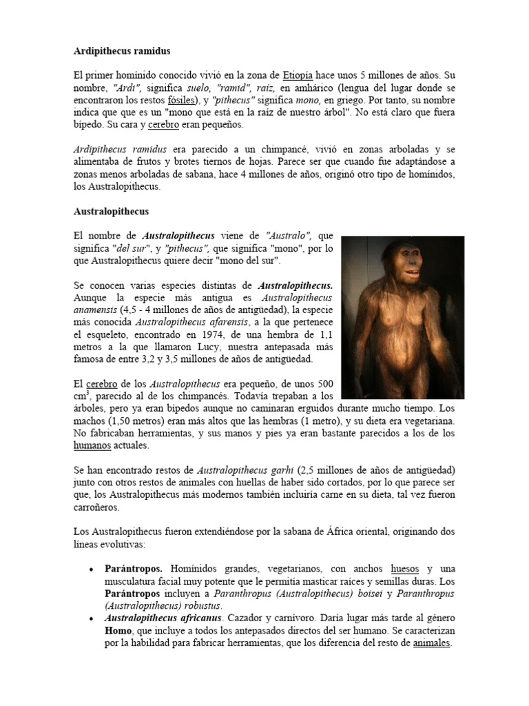 Ardipithecus Ramidus | PDF | Homo | neanderthal
