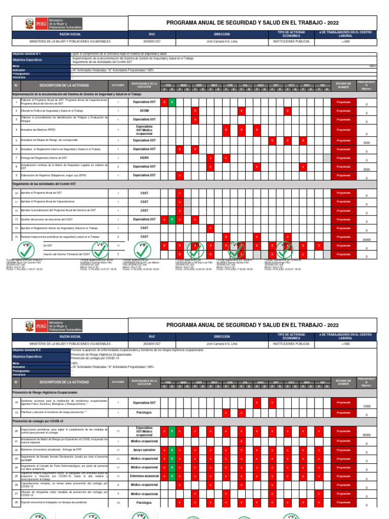 PROGRAMA DE SST - MUJER 2022 | PDF | Ciencias de la Salud | Salud pública