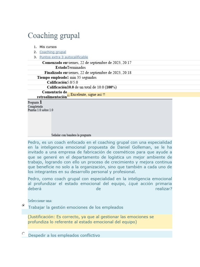 Coaching Grupal | PDF