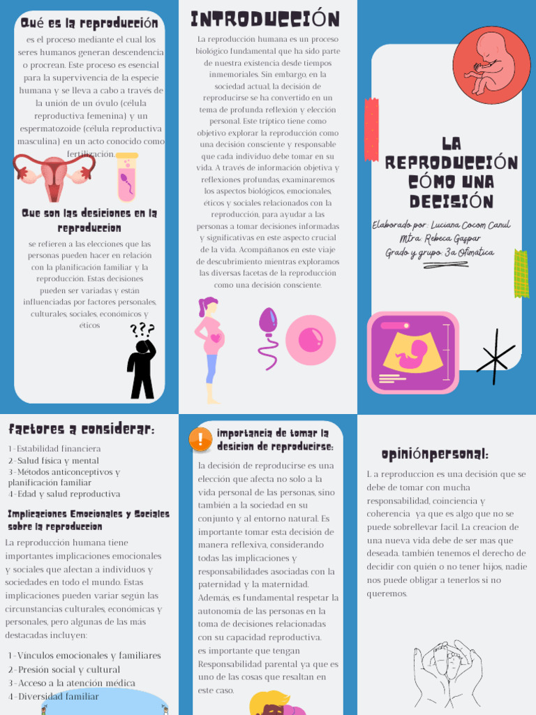 Documento de Jarel | PDF