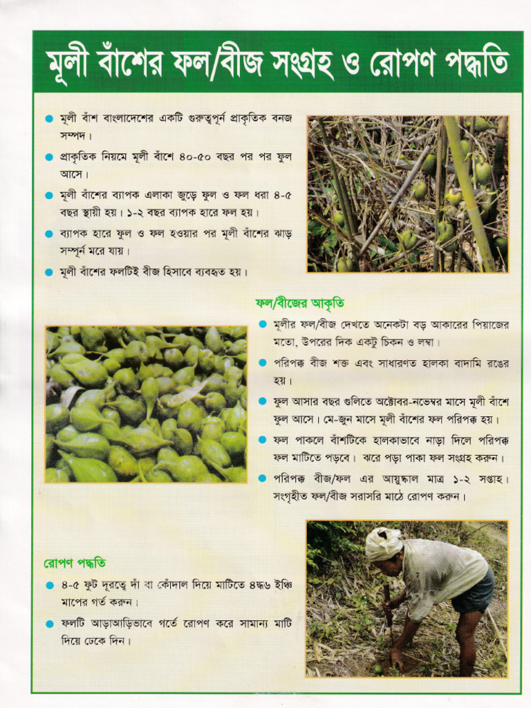 Img 20230904 0008 | PDF