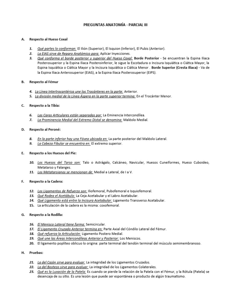 Parcial II Anato | PDF