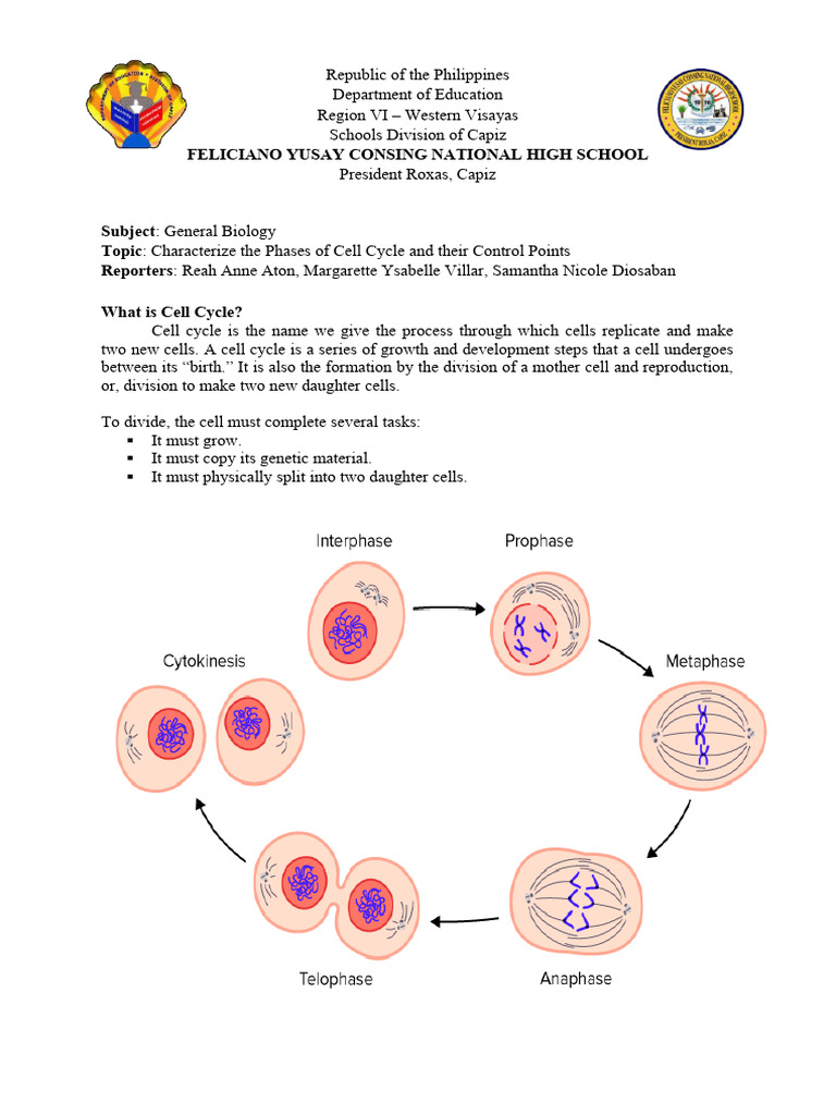 GENBIO | PDF | Mitosis | Cell Cycle