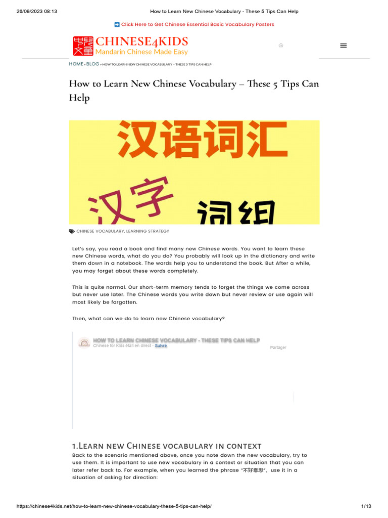 How To Learn New Chinese Vocabulary - These 5 Tips Can Help | PDF ...