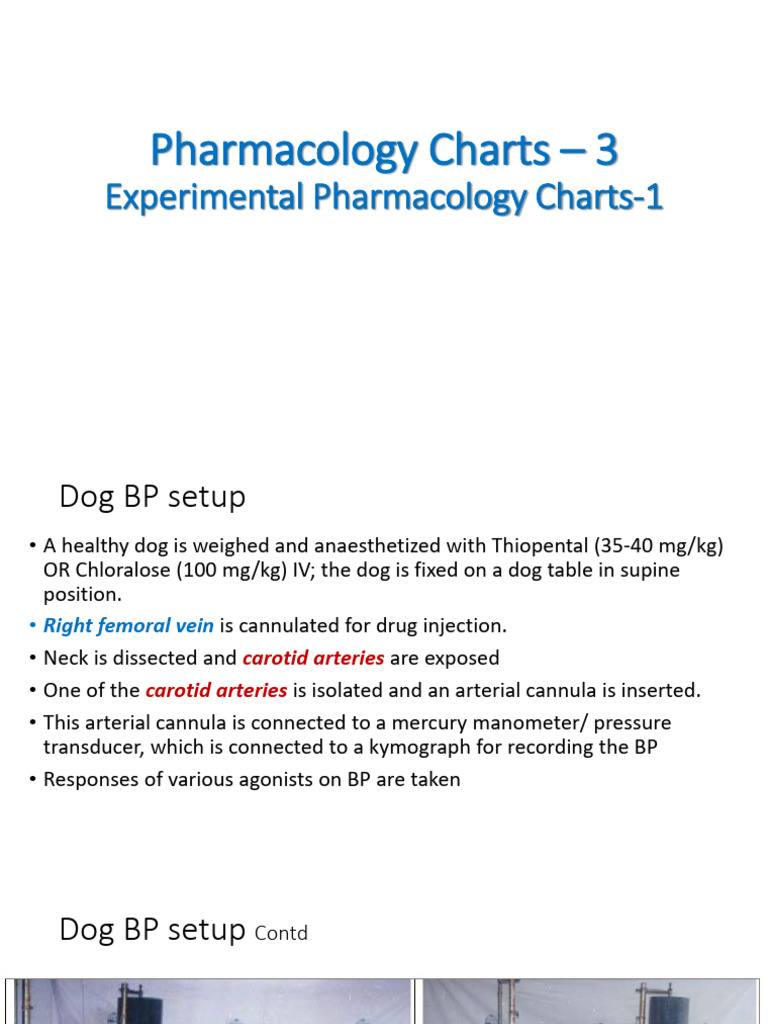 13. Experimental Pharmacology Charts (12) | PDF