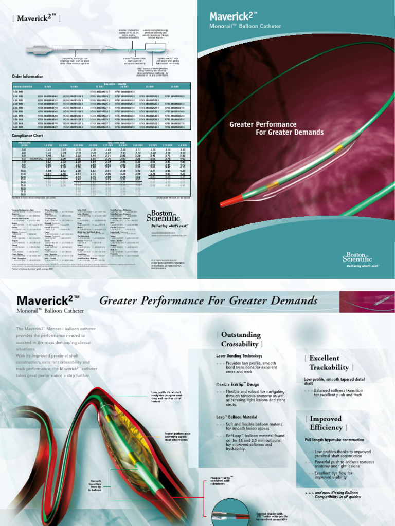 Maverick 2 Brochure | PDF