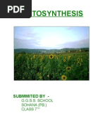 APA7 Citation Generator. Citefast Automatically Formats Citations in ...