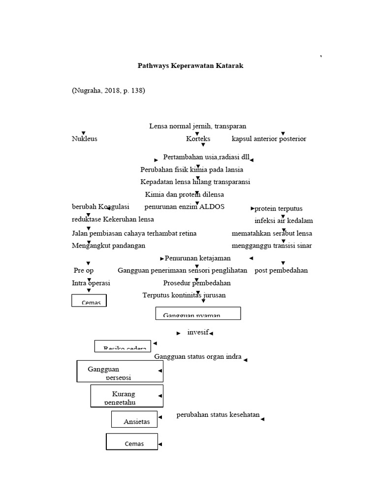 Pathway Katarak (Nugraha, 2018) | PDF