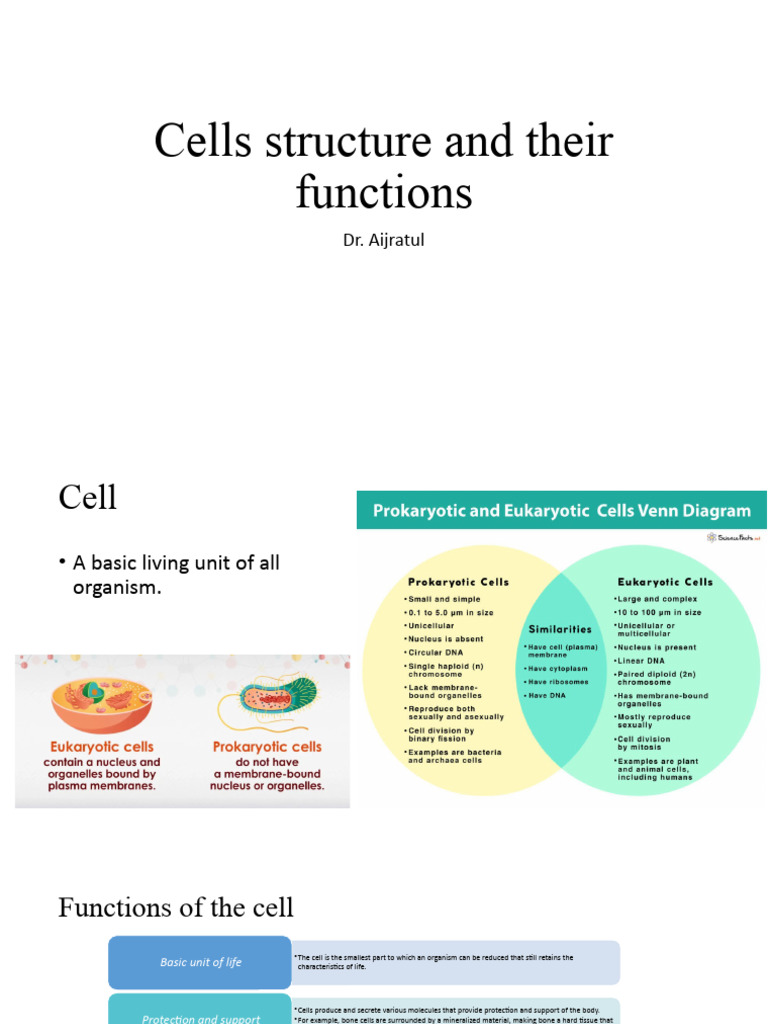 CHP 2 Cells and Tissue | PDF | Cell (Biology) | Cell Nucleus