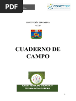 MODELO DE CARATULA Py EUREKA | PDF