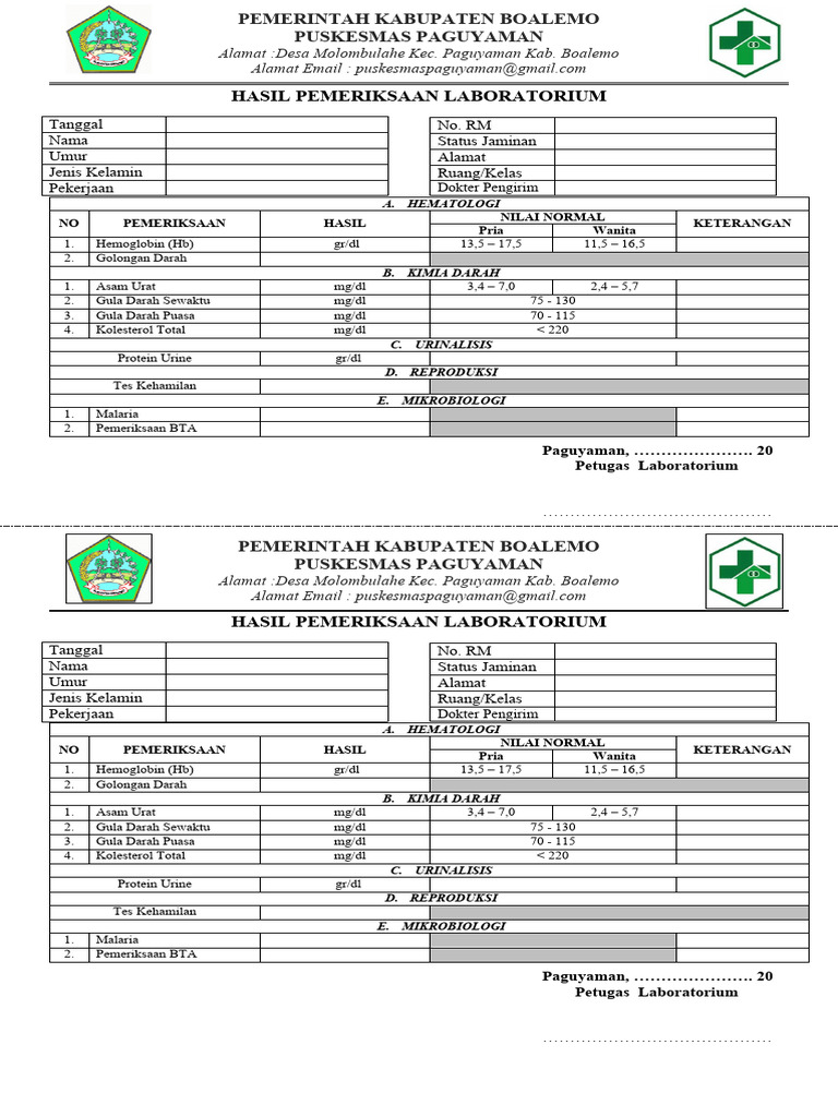 HASIL PEMERIKSAAN LAB | PDF
