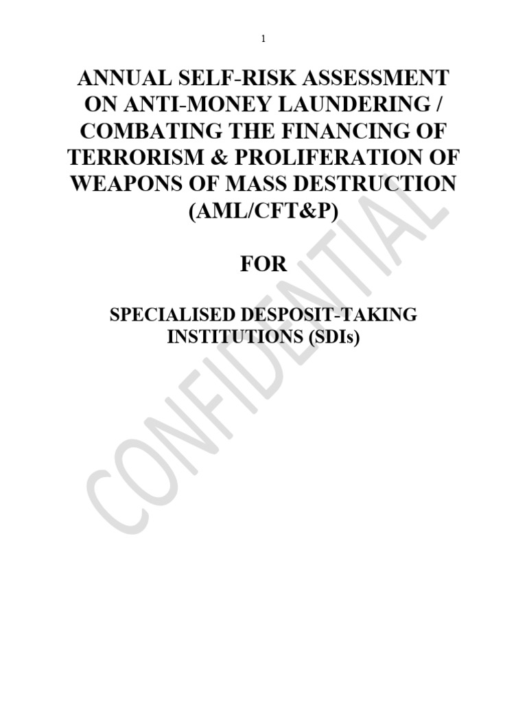 AML/CFT&P Risk Assessment Guide | PDF | Money Laundering | Business