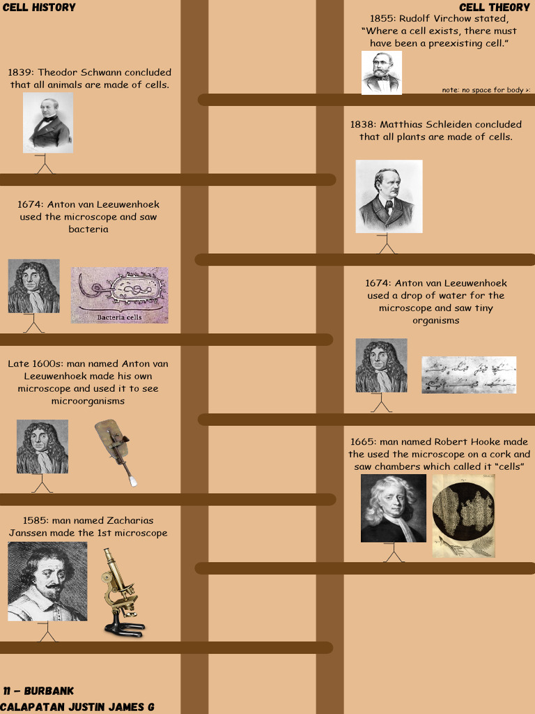 Timeline of Cell Theory Development | PDF | Social Science