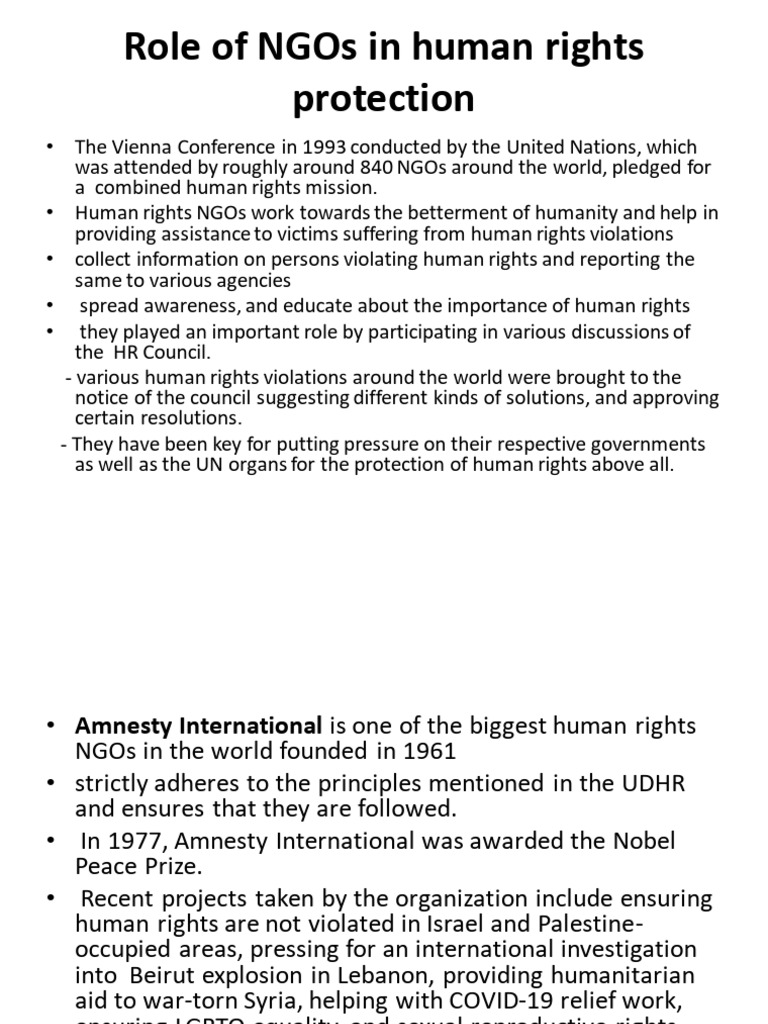 Role of Ngos in Human Rights Protection | PDF | Human Rights | Amnesty ...