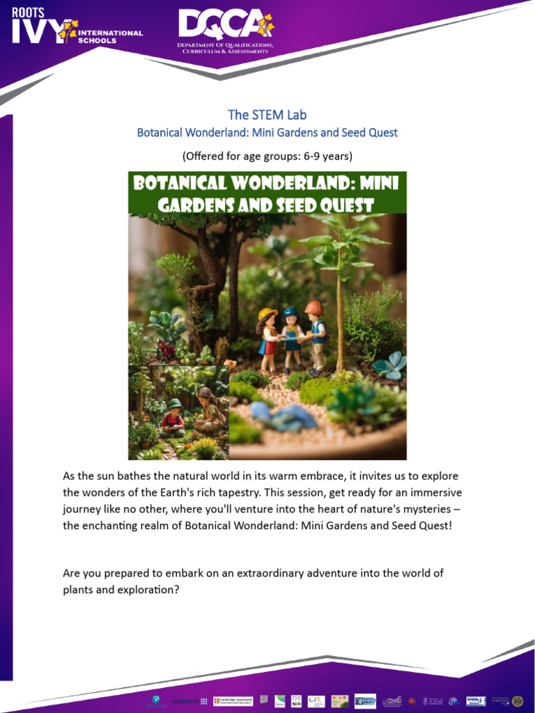 STEM Project Grade 1-3 | PDF | Botany | Seed