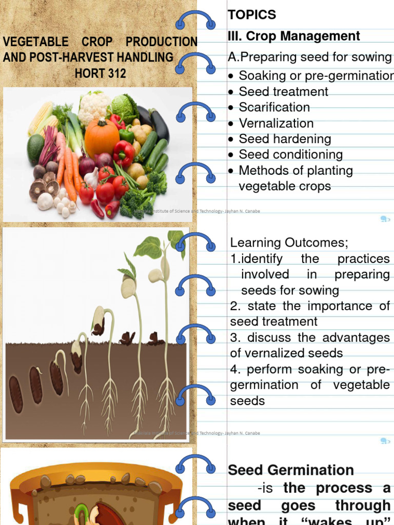 Seed Preparation and Germination Guide | PDF